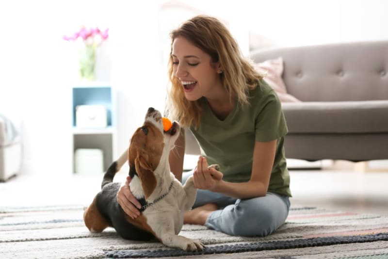 The Mental Health Benefits of Having Pets | White House Vets