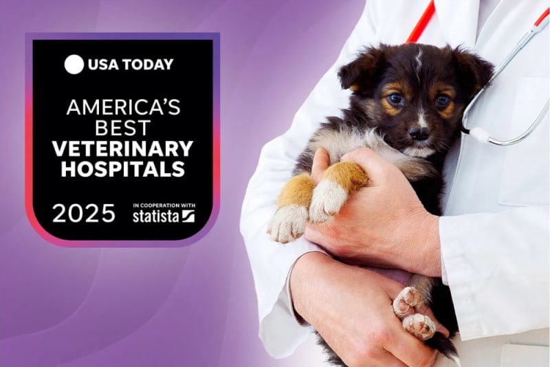 Dells Animal Hospital Makes the USA TODAY Best Veterinary Hospitals ...