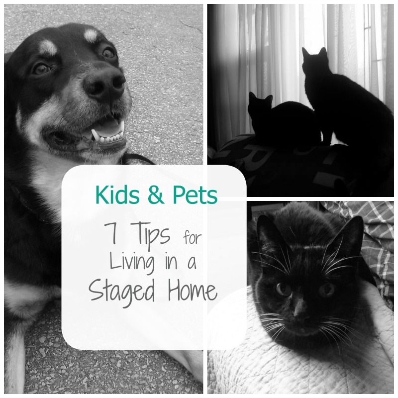 Staged with Kids & Pets | Gem Home Staging