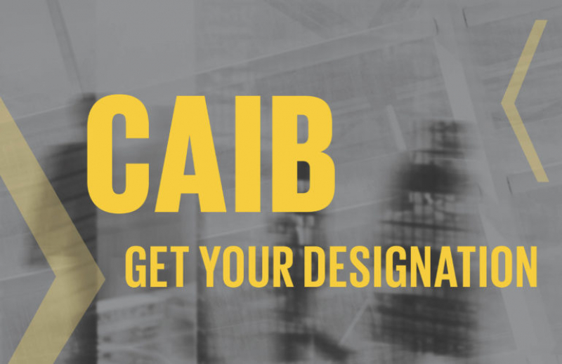 CAIB 2 | Coming September 11, 2018 | SAVE THE DATE | Hamilton, Ontario