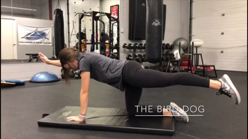 #FitnessFriday Ι The Bird Dog