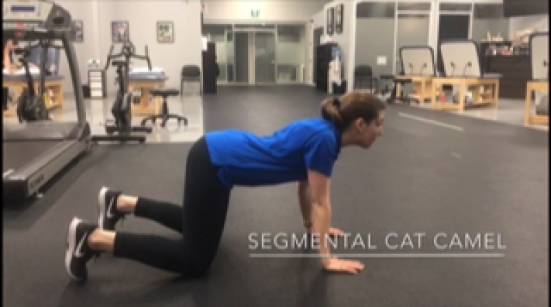#FitnessFriday Ι Segmental Cat Camel