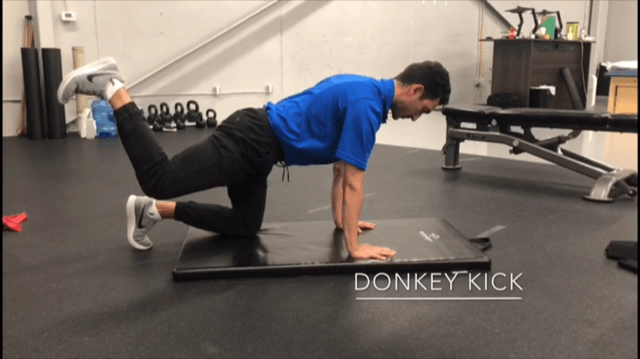 #FitnessFriday Ι Donkey Kicks