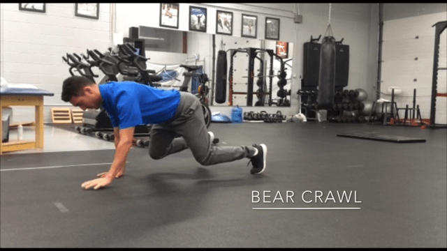 In this week's #FitnessFriday video, learn how to do the Bear Crawl, an ...