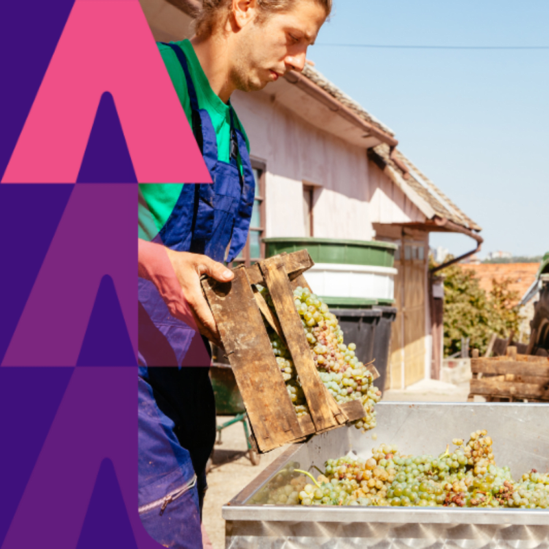 Learn how the Trade Accelerator Program can help your business