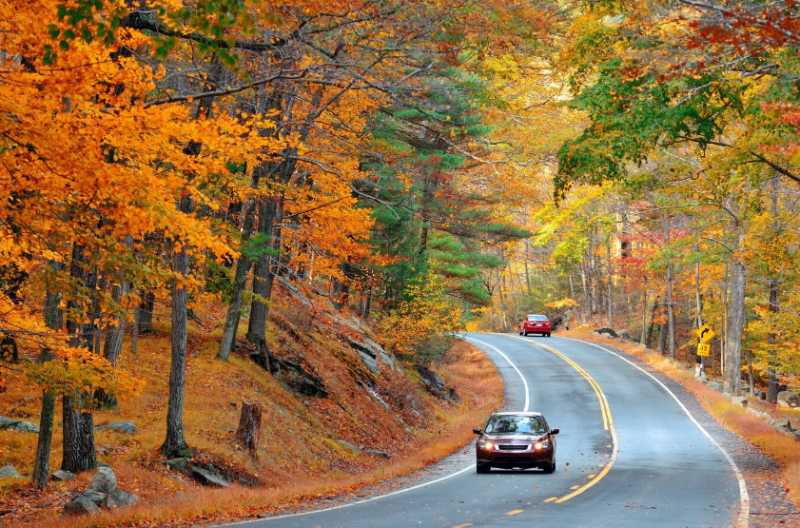 Road Tripping To Osoyoos: Top Scenic Routes | Best Western PLUS Osoyoos ...