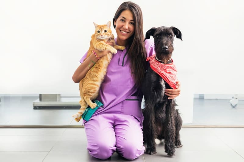 Making the Most of Your Pet's Routine Exam: What to Ask Your Vet ...